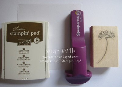 Two-Step Stamping – Sarahs Ink Spot