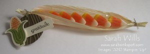 Perfectly Preserved Candy Corn Husk Treat… – Sarahs Ink Spot